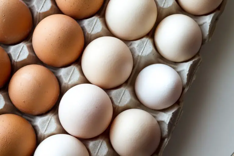 How Many Eggs Can A Teenager Eat Per Day? – Fueling Teens